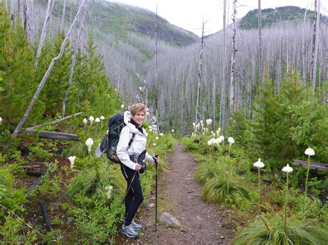 Lisa Stack Investech Research