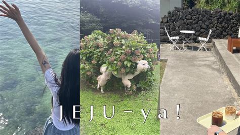 Jeju Volg 제주 브이로그 제주서쪽 맛집부터카페까지 🌴 Youtube