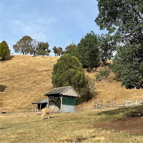 Old Macs Caravan And Motorhome Farm Stay 2025 Reviews Launceston