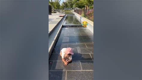 Cute🍇🤣🍎🥰🍉 Youtube