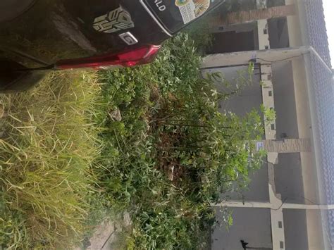 Gesang Paudra Jaya On Linkedin Dijual Murah Rumah Ruko Rusak Masih Bisa Nego