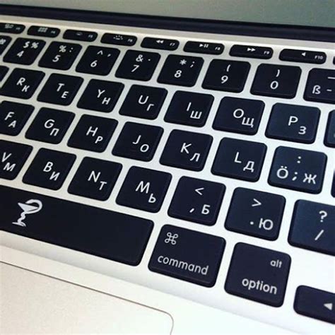 Algal Слепая печать или как научиться быстро печатать 10 пальцами на