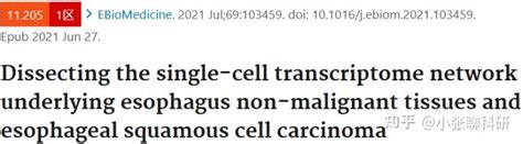 肿瘤代谢重编程研究，还得是它！ 知乎