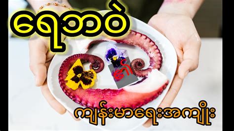 ရေဘဝဲ Octopus ၏ ကျန်းမာရေး အကျိုးကျေးဇူး များ Youtube