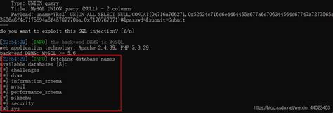 针对post型表单注入时sqlmap验证的三种参数 sqlmap进行post注入的三种方式的参数语句 csdn博客