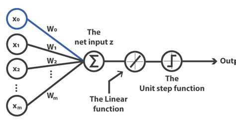 Overview About Adaptive Linear Neurons