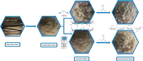 Schematic Representation Of The Overall Extraction Of Cellulose From