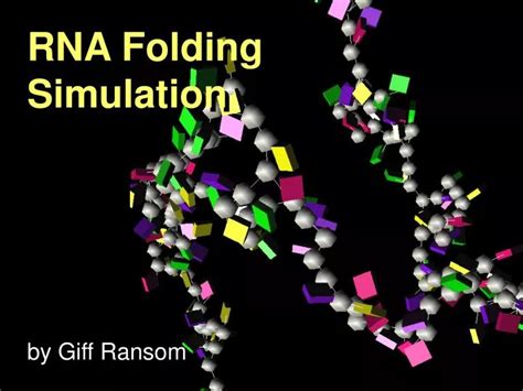 Ppt Rna Folding Simulation Powerpoint Presentation Free Download