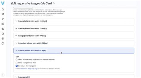 how to set responsive images in drupal 10 drupal sun