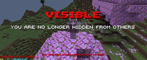 Hide Skript Builtbybit