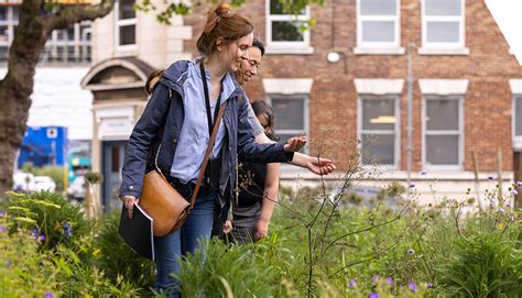 Nature Adaptation Ashden