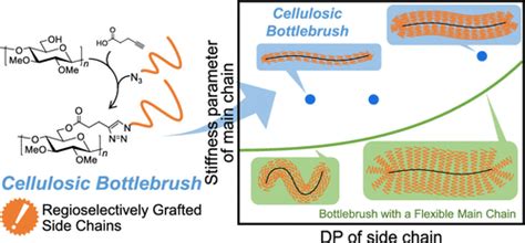 Main Chain Stiffness Of Cellulosic Bottlebrushes With Polystyrene Side Chains Introduced