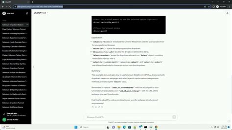 Selenium Select Option Values Youtube