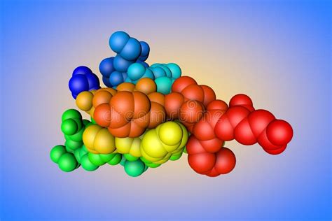 Epidermal Growth Factor Domain Of P Selectin Space Filling Molecular