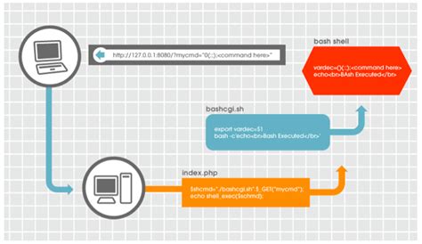 Mitigating The Bash Shellshock Vulnerability Crowdstrike