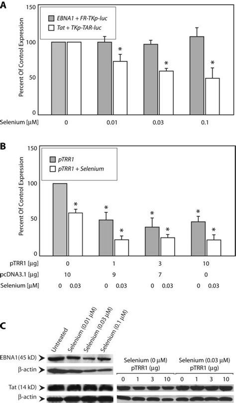 Selenium And Thioredoxin Reductase 1 Trr1 Reduce Transactivation By Download Scientific