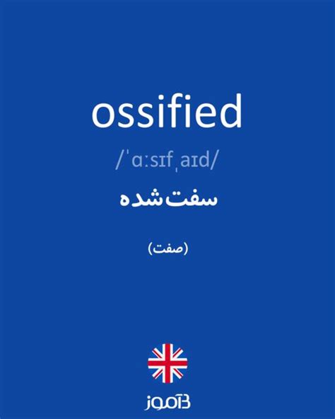 ترجمه کلمه Ossified به فارسی دیکشنری انگلیسی بیاموز