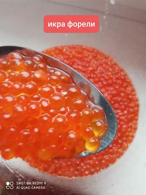 Оголошення Польща Краків Вроцлав Познань