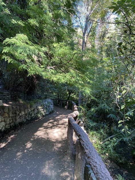Get Out Of Town Fern Dell Nature Trail In Griffith Park Myburbank
