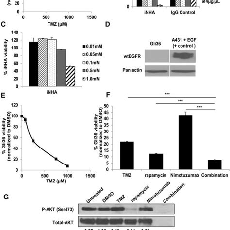 Enhanced Efficacy Using Rapamycin And Nimotuzumab Was Observed In Download Scientific Diagram