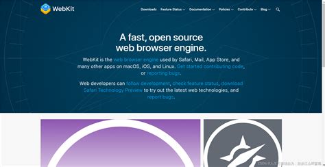 webkit组件精选：挑选适合你项目的浏览器核心功能 webkit功能选项详解 csdn博客