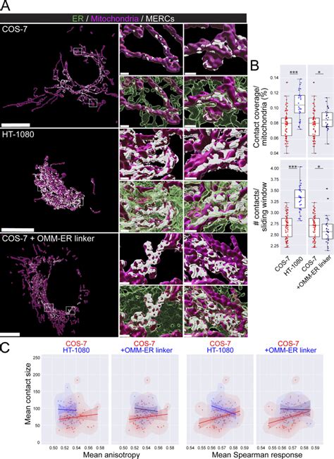 Subprecision Contact Detection Identifies Distinct Contact Profiles In Download Scientific