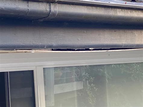 How To Fix The Drop Eave Sheet Drop From Bunnings Workshop Community