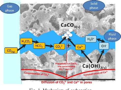 Figure 1 From Modelling Of Concrete Carbonation Is It A Process Unlimited In Time And