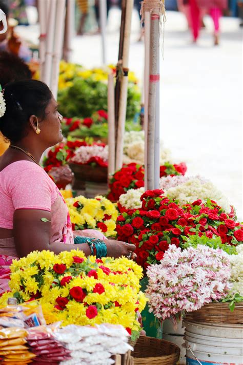 คลังภาพถ่ายฟรีของ การขาย การจัดดอกไม้ การตกแต่ง กำลังบาน ขายดอกไม้ คนขายดอกไม้ ความหลาก