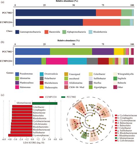 Bacterial Community Compositional Difference Between The Bacterized
