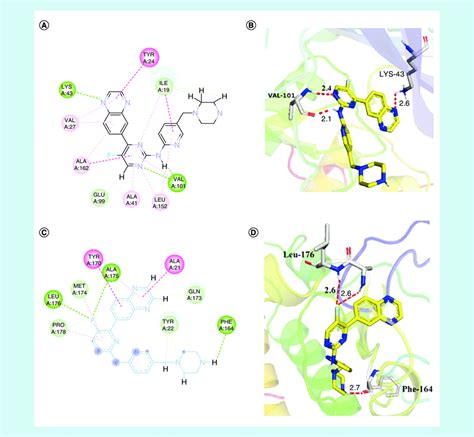 Binding Mode Analysis Between Compound 18 And Cdk4 6 A A 2d