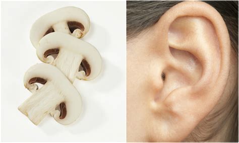 პროდუქტები იმ ორგანოებს ჰგავს რისთვისაც სასარგებლოა Gemrielia Ge