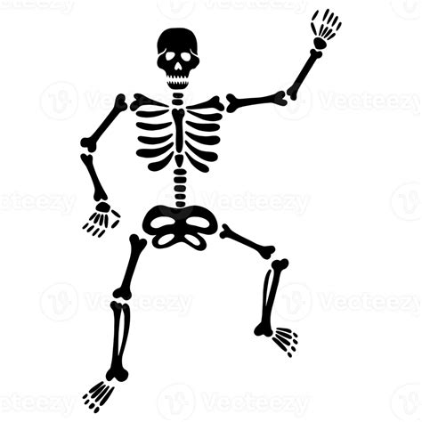 Cute Dancing Skeleton 27763335 Png