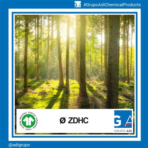 Mireia Simó Pons On Linkedin We Cannot Choose Between Growth And Sustainability We Must Have