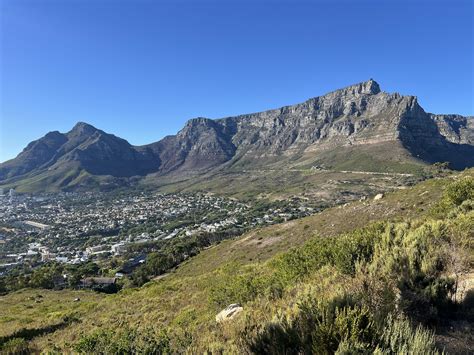 Fish Colombia Constantinodiez Colombian Freight Train Pacificjack