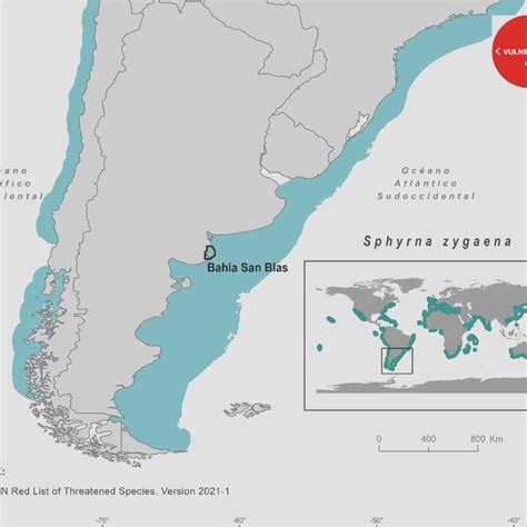 Mapa De Distribución Regional Y Global De Sphyrna Zygaena Download