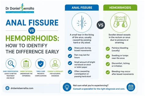 Rectal Prolapse Vs Hemorrhoids What Is The Main Difference Dr