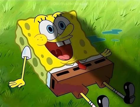 Bob Esponja Memes Bob Esponja Random Bob Toronja Imágenes Divertidas