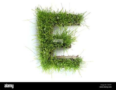E Grass Cut Out Stock Images And Pictures Alamy