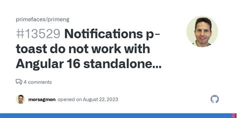 Notifications P Toast Do Not Work With Angular 16 Standalone No Ngmodule App · Issue 13529