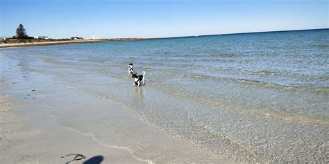 Point Lowly Beach Point Lowly Sa 5601 Australia