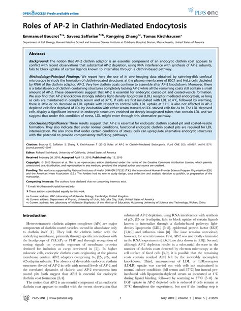 Pdf Roles Of Ap 2 In Clathrin Mediated Endocytosis