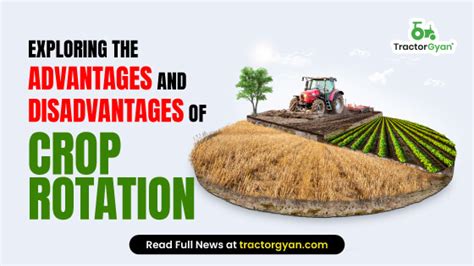 Modern Farming Crop Rotation 6 Principles Of Crop Rotation