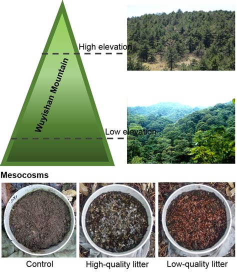 Litter Quality Affects Soil Priming Effect Under Field Conditions