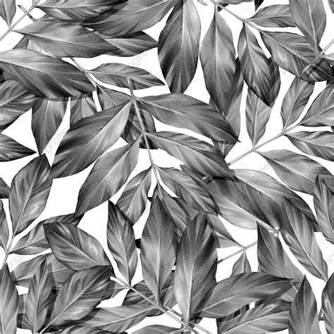 Seamless Leaves PNG Image Black And White Floral Seamless Pattern Of