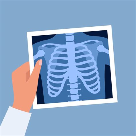 X Ray Of Human Skeleton Chest And Pelvis Human Bones Roentgen Shot In