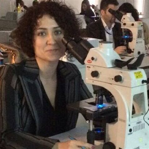Dr Ozge Gungor Nikolic Phd Deputy Of Medical Specialist Acibadem