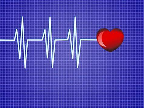 Cardiogram Line With Heart Vector Illustration Cardiogram Cardiology
