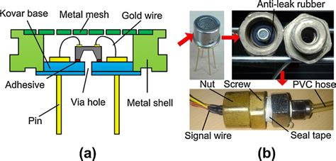 Package Of The Pressure Sensor A Schematic Diagram Of Packaged Download Scientific Diagram
