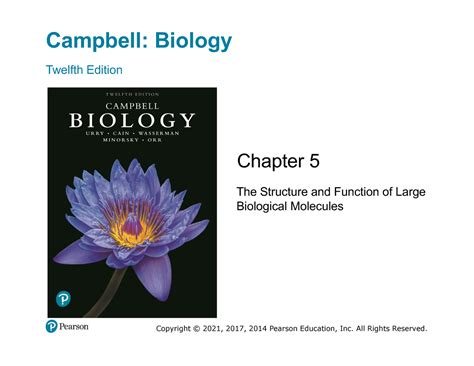 Topic 6b Structure Function Macromolecules Campbell Biology Twelfth Edition Chapter 5
